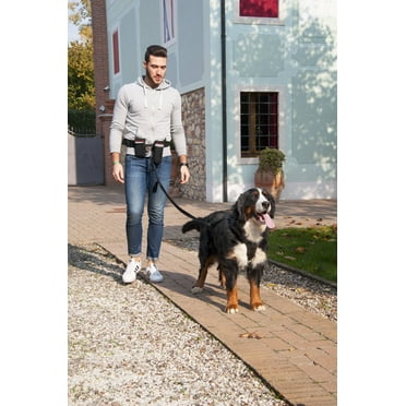 Walky Dog Plus Hands Free Bicycle Dog Leash Exerciser - Walmart.com