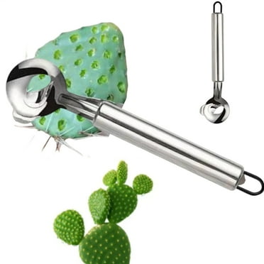 WYBXZ 2024 New Cactus Peeler, Manual Cactus Thorn Removal Cutter ...