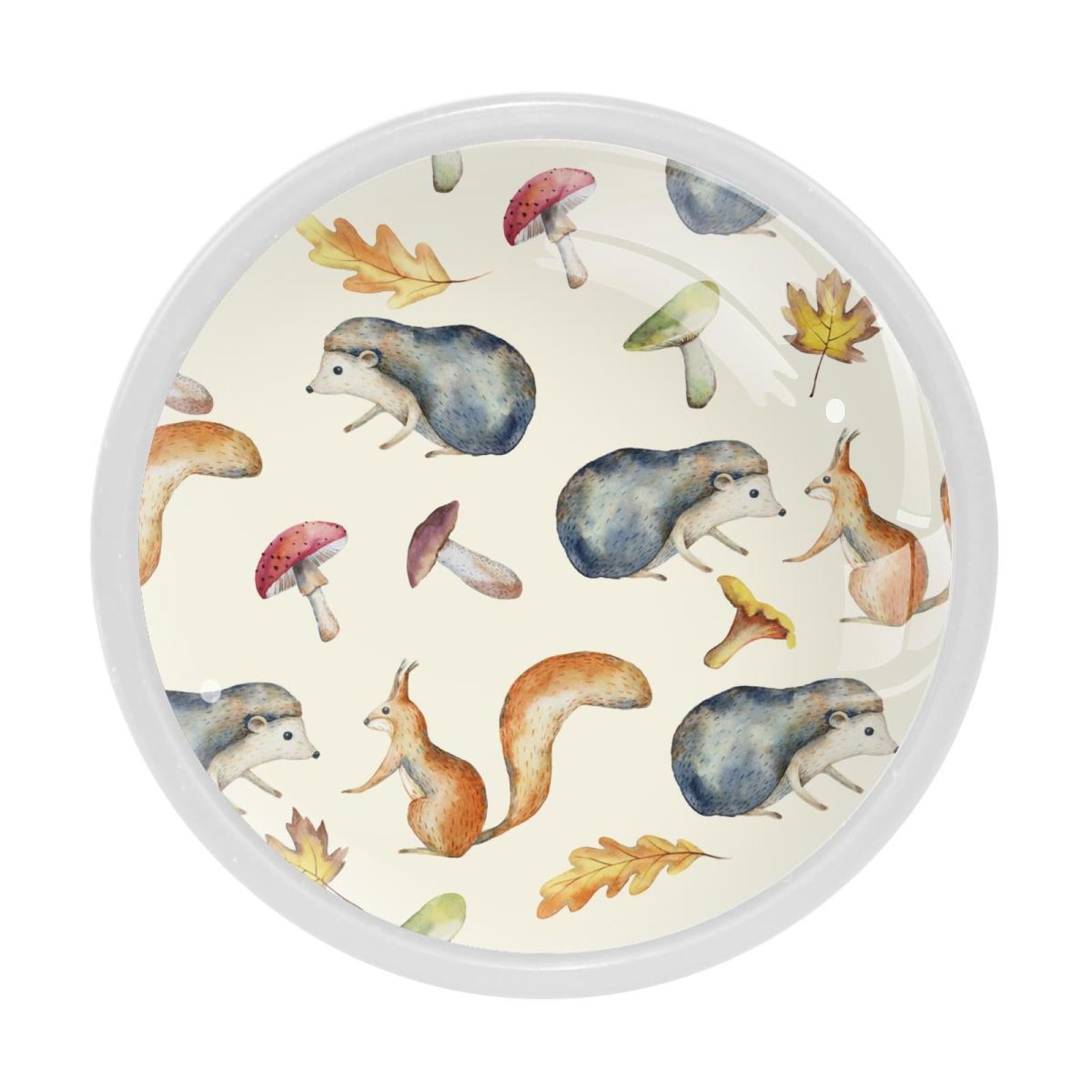 4 Pcs Squirrel Knobs for Kitchen Cabinet Cupboard Dresser Bookcase ...