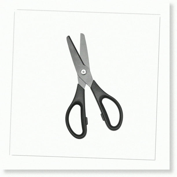 CeraCut 8" Black Ceramic Scissors - Versatile Straight Shears with Non ...
