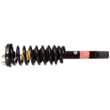 Front Strut and Coil Spring Assembly - Compatible with 2004 - 2008 Ford ...