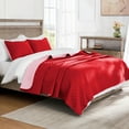 Exclusivo Mezcla Warm Full Queen Lightweight Quilt Set, 3-Piece Soft ...