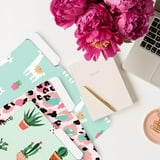 Better Office Products - File folder - letter - for 292 x 241 mm ...