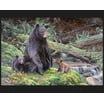 Northern Rim Panel Fabric - Walmart.com