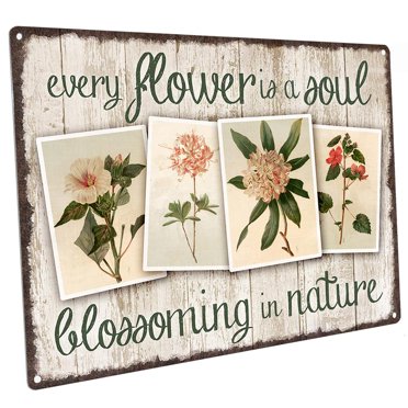 Flower Seeds Vintage Advertisement 9"x12" Metal Sign, Wall Decor for ...