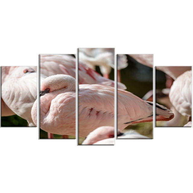 Design Art Pat of Flamingos Close up Canvas Print - Walmart.ca