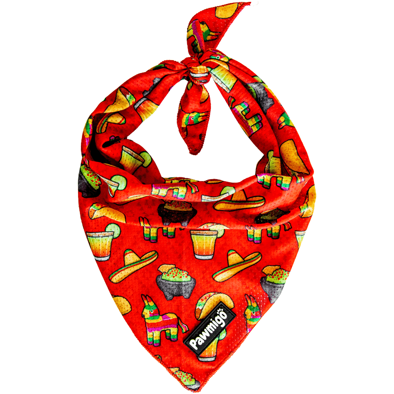 Taco Tuesday Cooling Bandana - Walmart.com