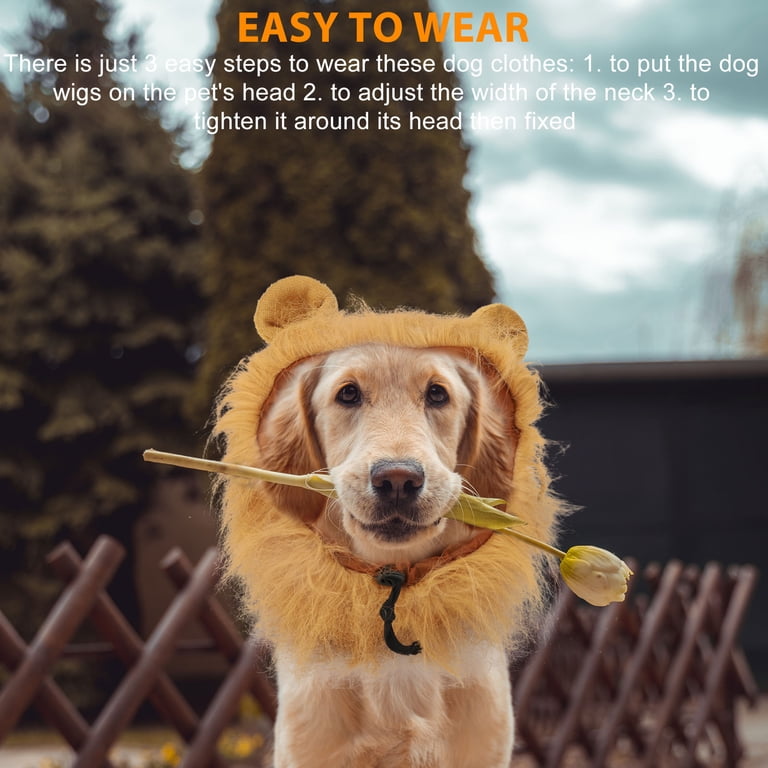 Funny Large Dog Costume