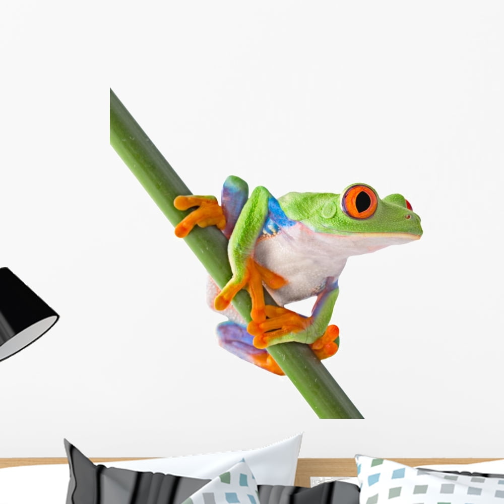 Red Eyed Tree Frog Wall Decal Sticker by Wallmonkeys Vinyl Peel and ...