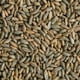 Rye Berries | 9 Pounds | High in Fiber and Iron - 9 Pound Bag of Rye ...