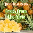 Delicious Dried Pineapple Chunks by It's Delish - 5 Lbs Bulk Bag ...