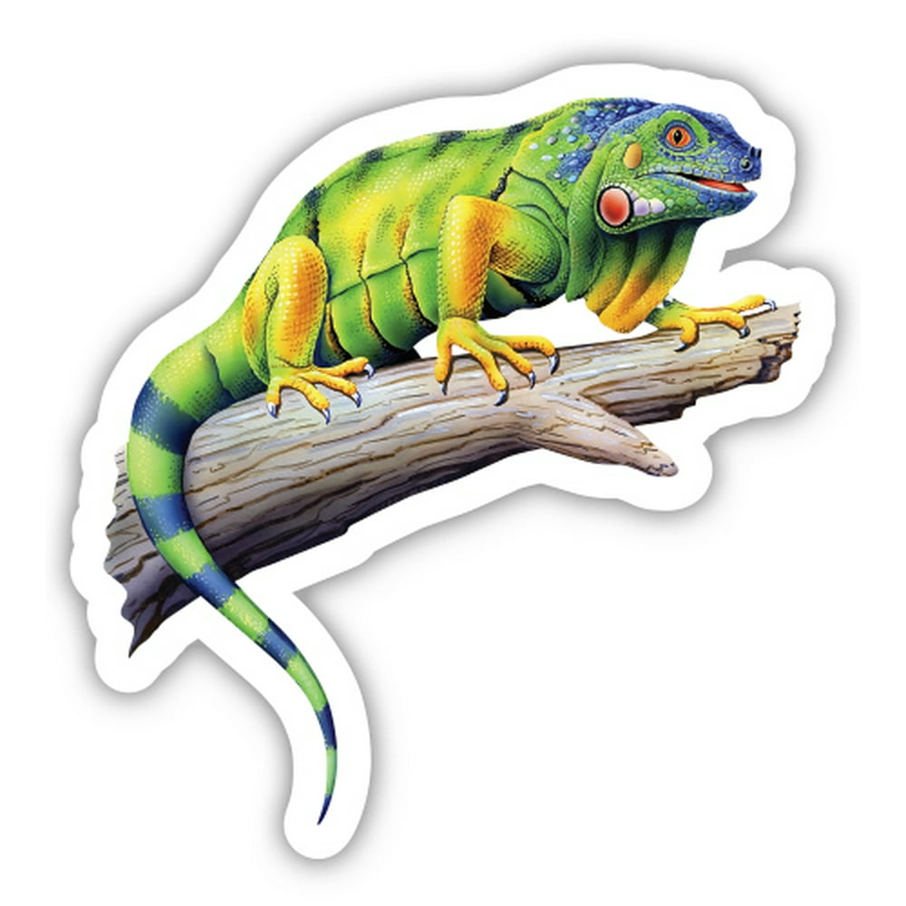 Colorful Iguana - 12" Vinyl Sticker Waterproof Decal - Walmart.com ...