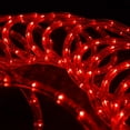 West Ivory 100ft Red LED Rope Lights, Connectable Outdoor Permanent ...