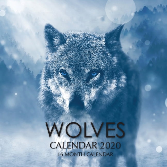 Wolves Calendar 2020 16 Month Calendar Paperback Walmart Wolves Calendar 2020 16 Month Calendar Paperback Walmart