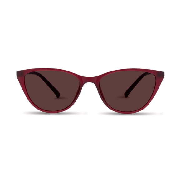 Fl 41 Light Sensitivity Glasses