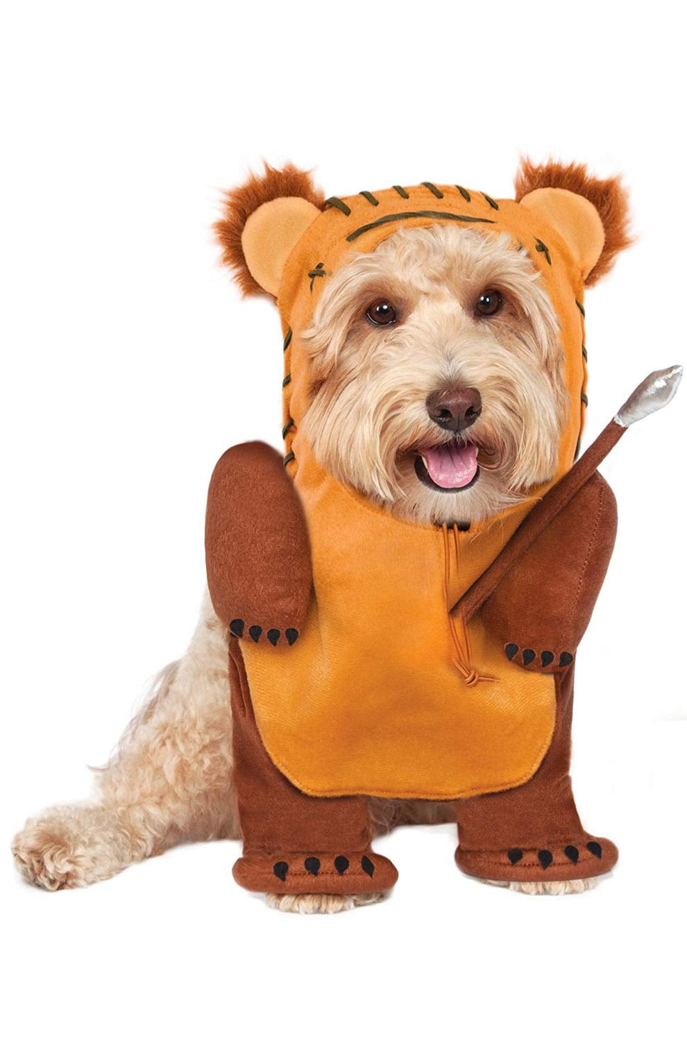 Ewok Yorkie
