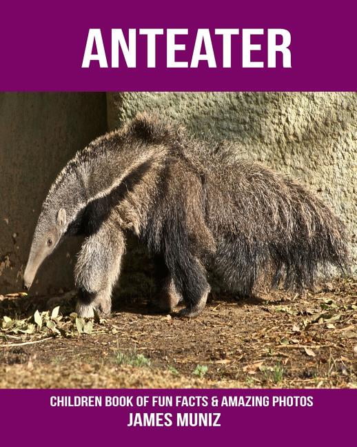 Anteater : Children Book of Fun Facts & Amazing Photos (Paperback ...
