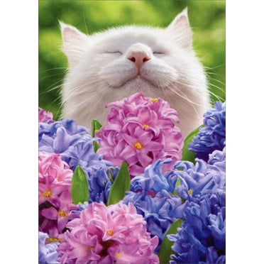 Avanti Press Easter Card with Kitten in Bunny Ears, Heavy Recycled ...