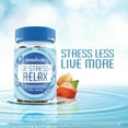 Stressballs Day De-Stress Supplement Gummies, Anxiety Relief & Mood ...