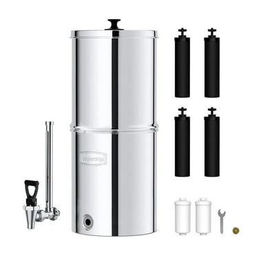 Alexapure Pro Portable Stainless Steel Water Purifier and Filtration ...