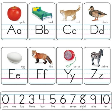 Teacher Created Resources Colorful Photo Alphabet Cards Bulletin Board ...