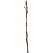 Walking Stick Compass