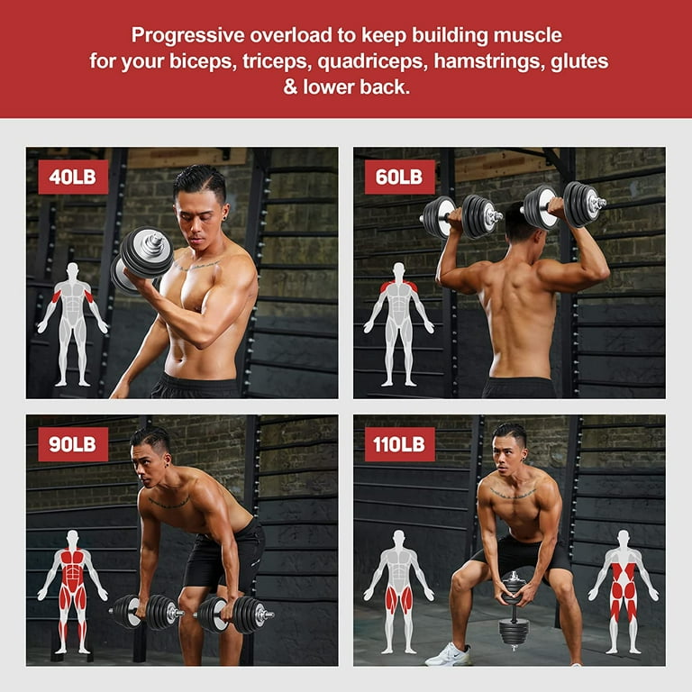 Dumbbell Barbell Back Exercises | ppgbbe.intranet.biologia.ufrj.br