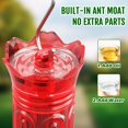 2026 Best 2 Pack 20oz Solid Red Hummingbird Feeder, Outdoor Plastic ...