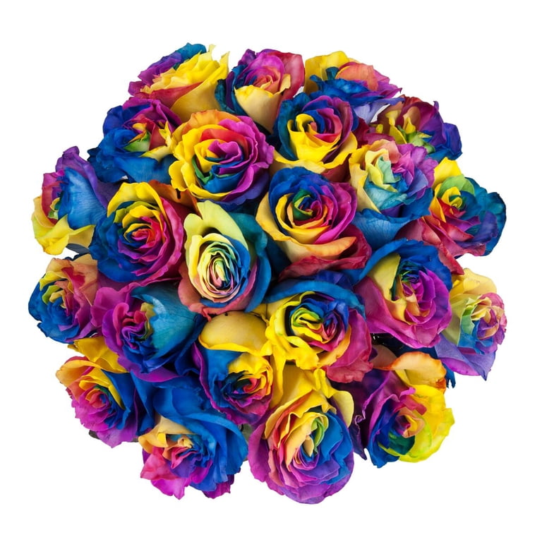 Rainbow Rose