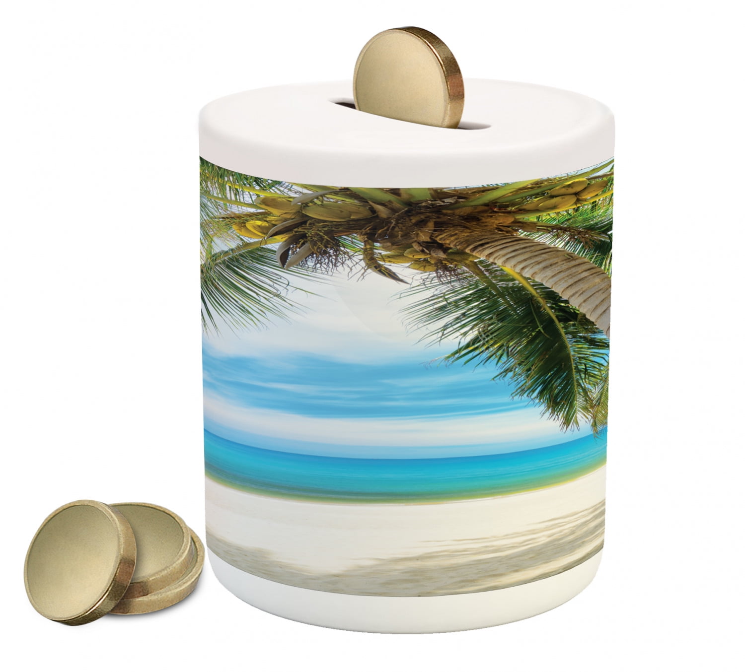 Ocean Piggy Bank, Shadow Shade of a Coconut Palm Tree on White Sandy ...