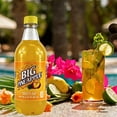 Big Red Zero Sugar Soda 20 oz, 24 Pack Bundle By Louisiana Pantry (Big ...