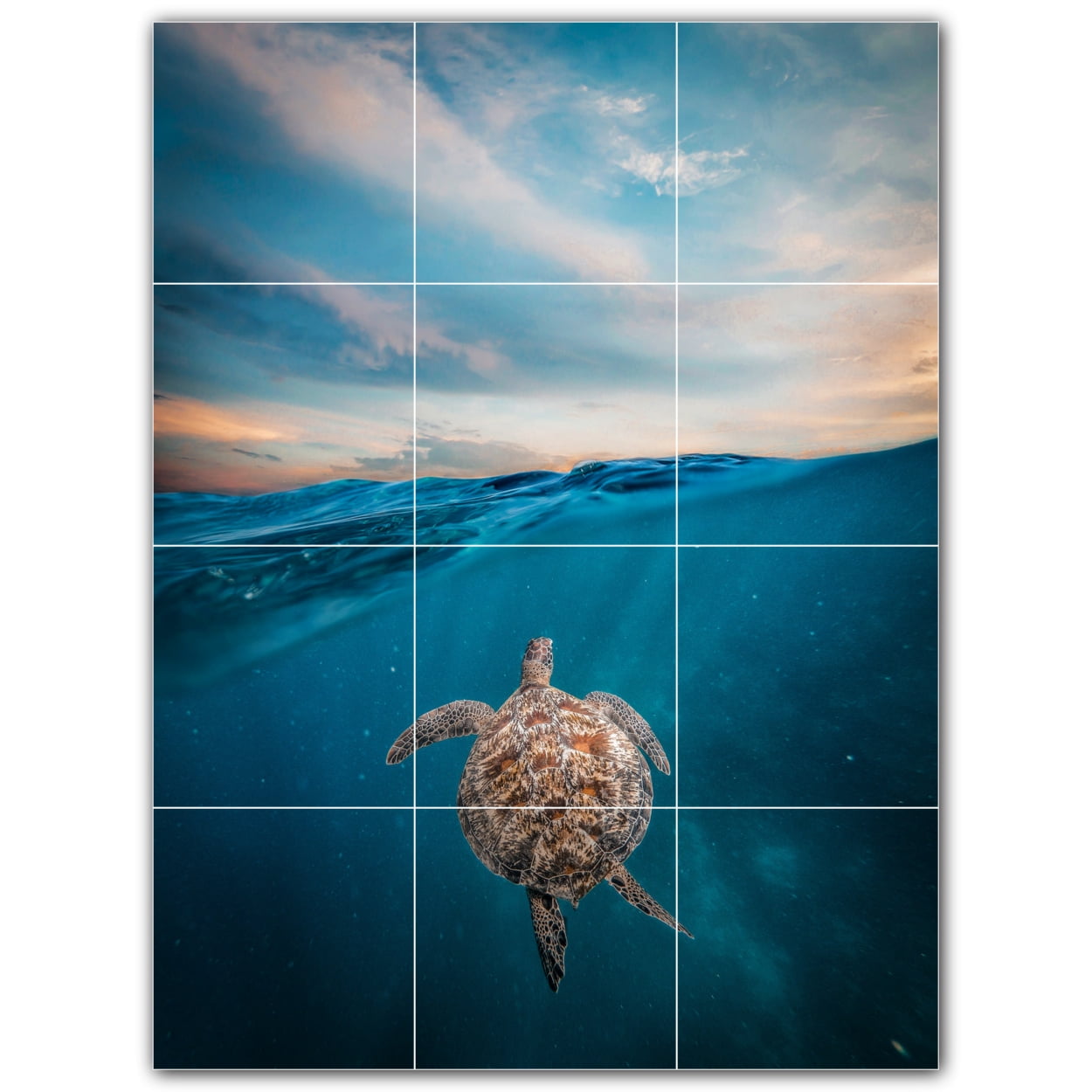 Picture-Tiles.com: Turtle Ceramic Tile Wall Mural WAL501076-34L. 24"W x ...