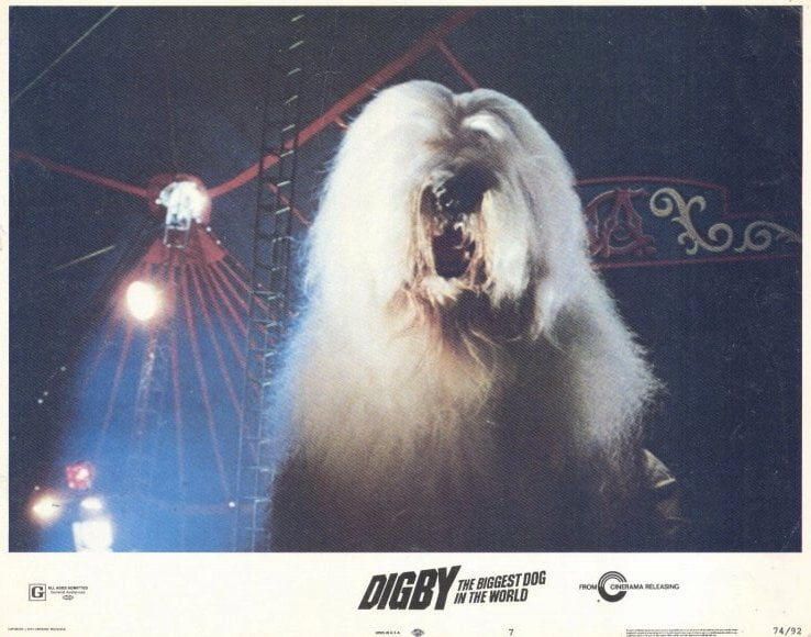 Digby, the Biggest Dog in World - movie POSTER (Style C) (11" x 14 ...