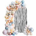 Black Stripe Arch Backdrop Cover 4 FT, Retro Abstract Art Farmhouse ...