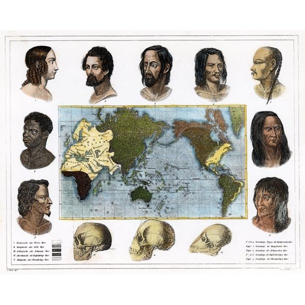 Racial Types, 19Th Century. /Ngerman Study Of Racial Types, Based On ...