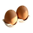 COM1950s Egg Shaped Seasoning Jar Set, Ceramic Salt and Pepper Shaker ...