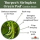 Burpee Organic Burpee's Stringless Green Pod Garden Bean Vegetable Seed ...