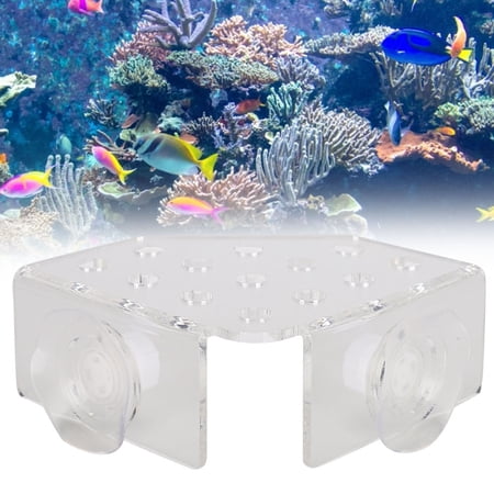 Ccdes Coral Bracket,Coral Frag Rack,13 Hole Aquarium Fish Tank Coral ...