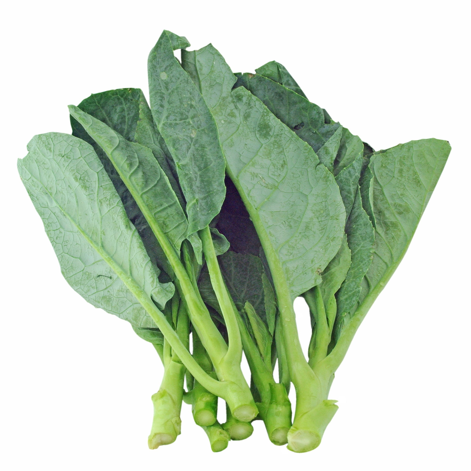 Chinese Cabbage Seeds - Wan Shen - 3 g Packet ~816 Seeds - Non-GMO ...