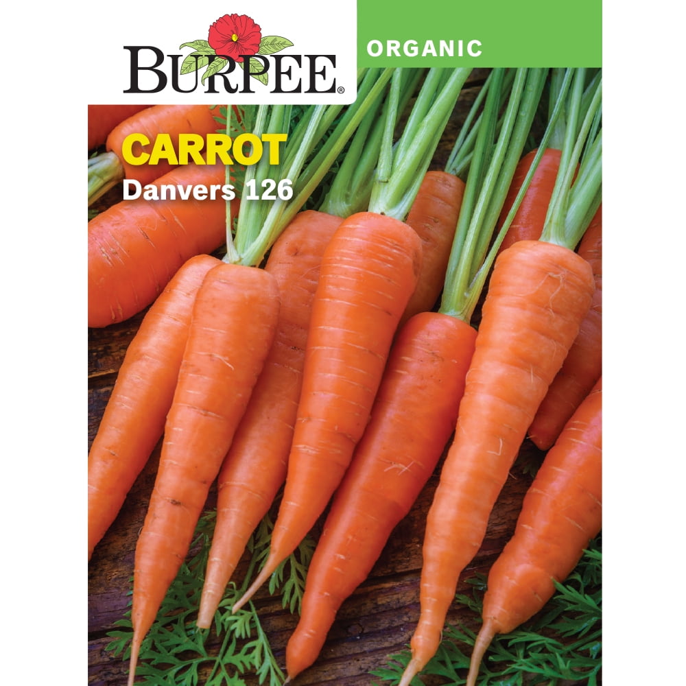 Burpee Organic Danvers 126 Carrot Vegetable Seed, 1-pack - Walmart.com ...