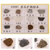 WHAMVOX 12 Pcs Specimen for Laboratory Rock Collecting Kit The ...