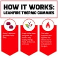 Force Factor LeanFire Thermo, Support Metabolism & Boost Energy, Fat Burner Gummies, Berry Burst ...