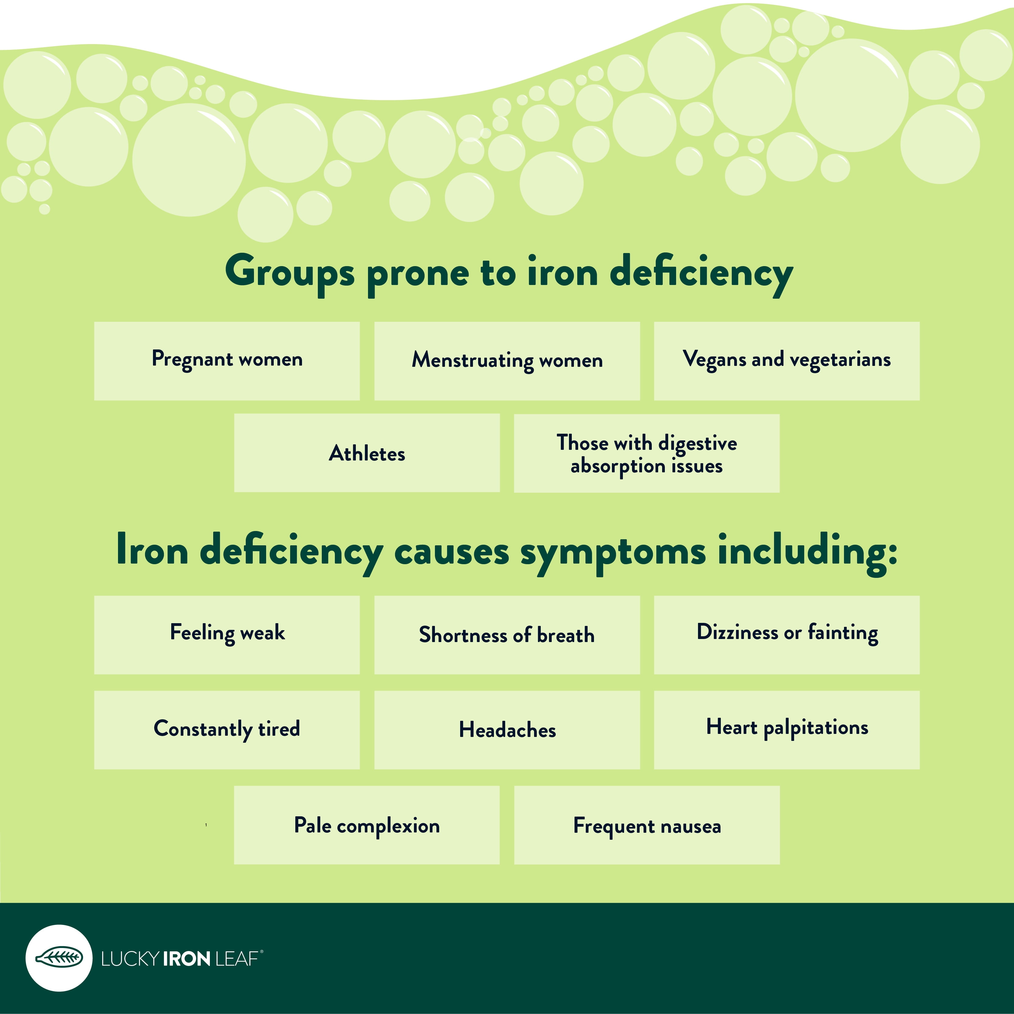 Lucky Iron Leaf - Natural Source of Iron for Cooking & Water ...