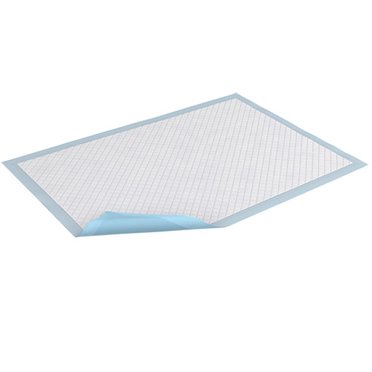 Medline Protection Plus Disposable Underpads, 17" X 24" 300ct - Walmart.com