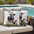 2 Pack Outdoor Waterproof Throw Pillow Covers,Farm Animals Cow Rooster ...