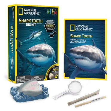 National Geographic Super Fossil Dig Kit - Walmart.com