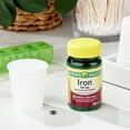 Spring Valley Iron General Health & Wellness Dietary Supplement Tablets ...