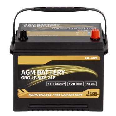 EverStart Platinum BOXED AGM Automotive Battery, Group Size H5 / LN2 ...