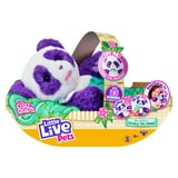 Little Live Pets, Cozy Dozys: Petals the Panda, Interactive Plush Toy ...