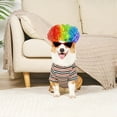 EcoNest Pet Wig Colorful Headband Cat Personality Funny Holiday ...